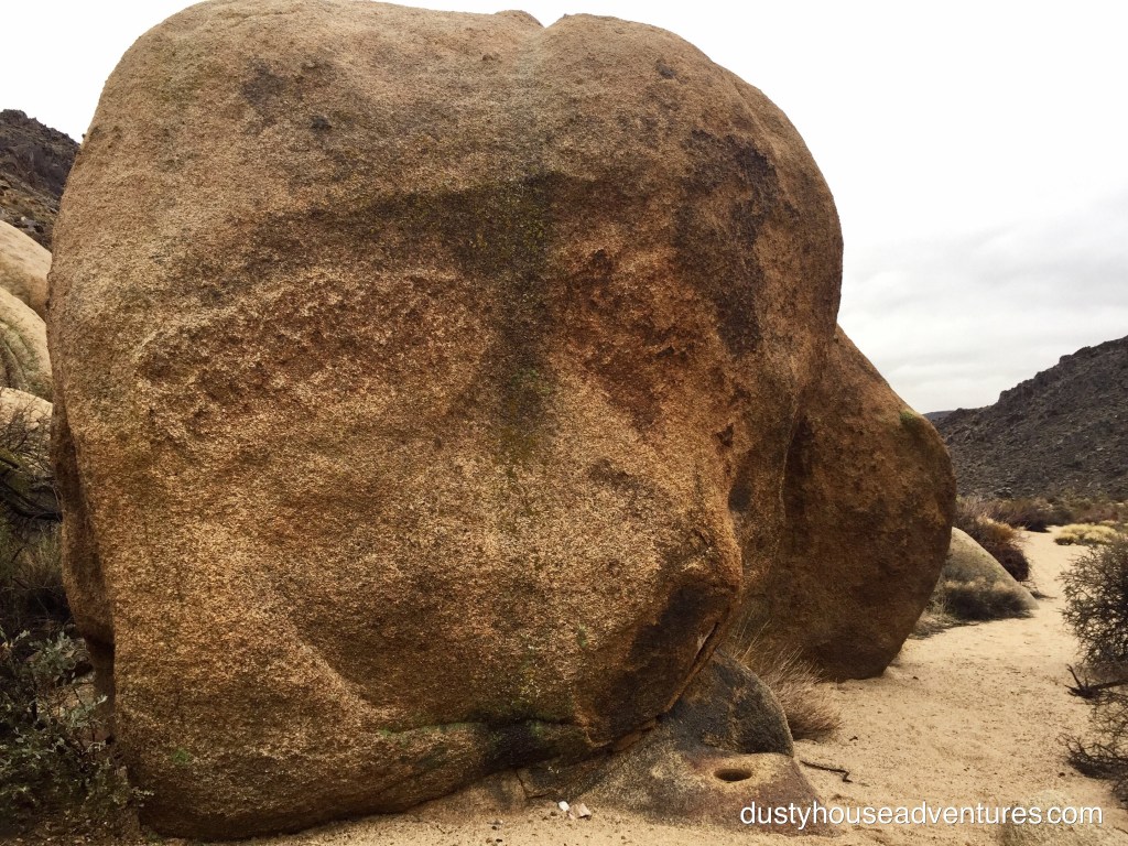 Thunderbird – THE ANCIENT SOUTHWEST